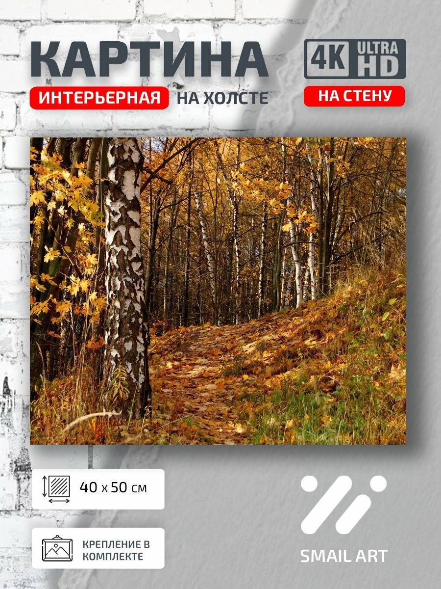Картина на холсте интерьерная 40 на 50 на стену Лес Landscape для кафе пейзаж интерьер