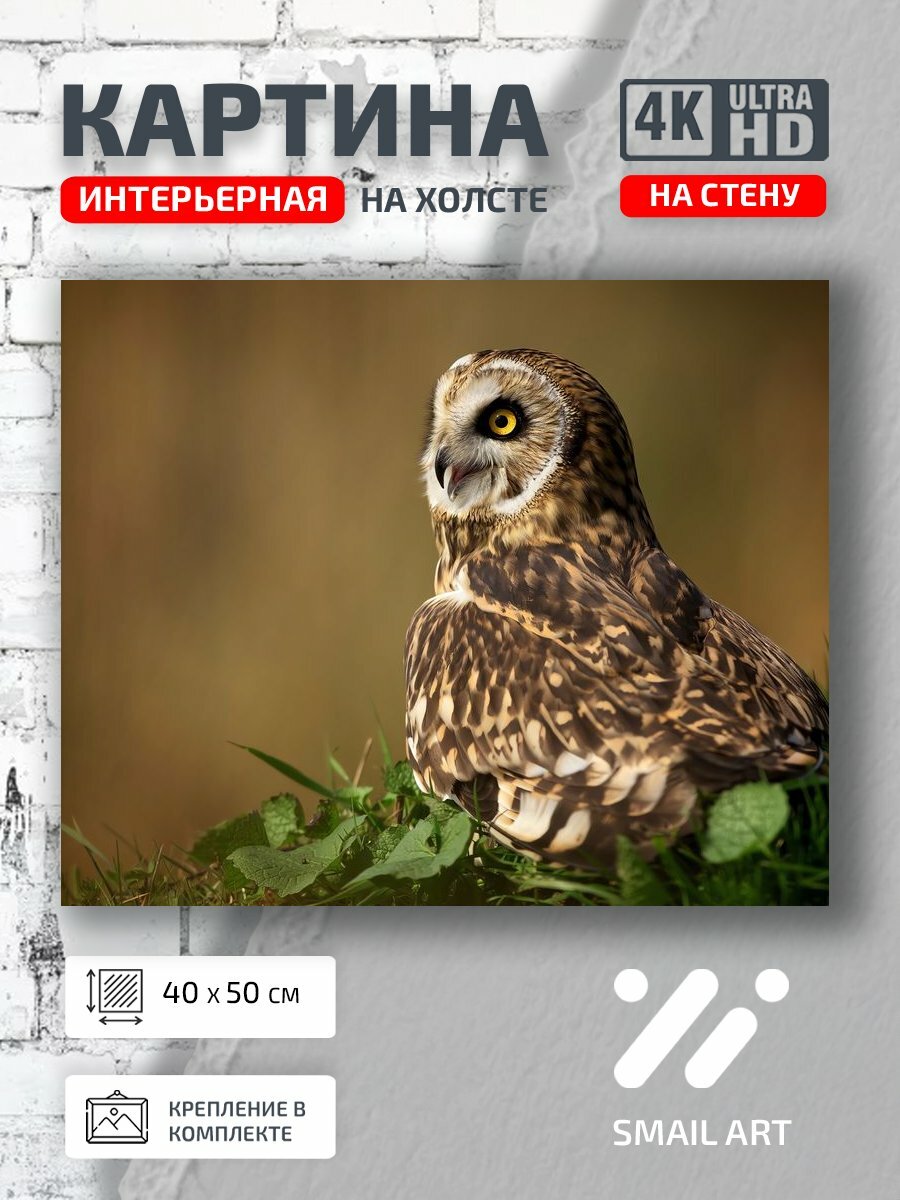 Картина на холсте интерьерная 40 на 50 на стену Зелени Animal для кафе animal style декор