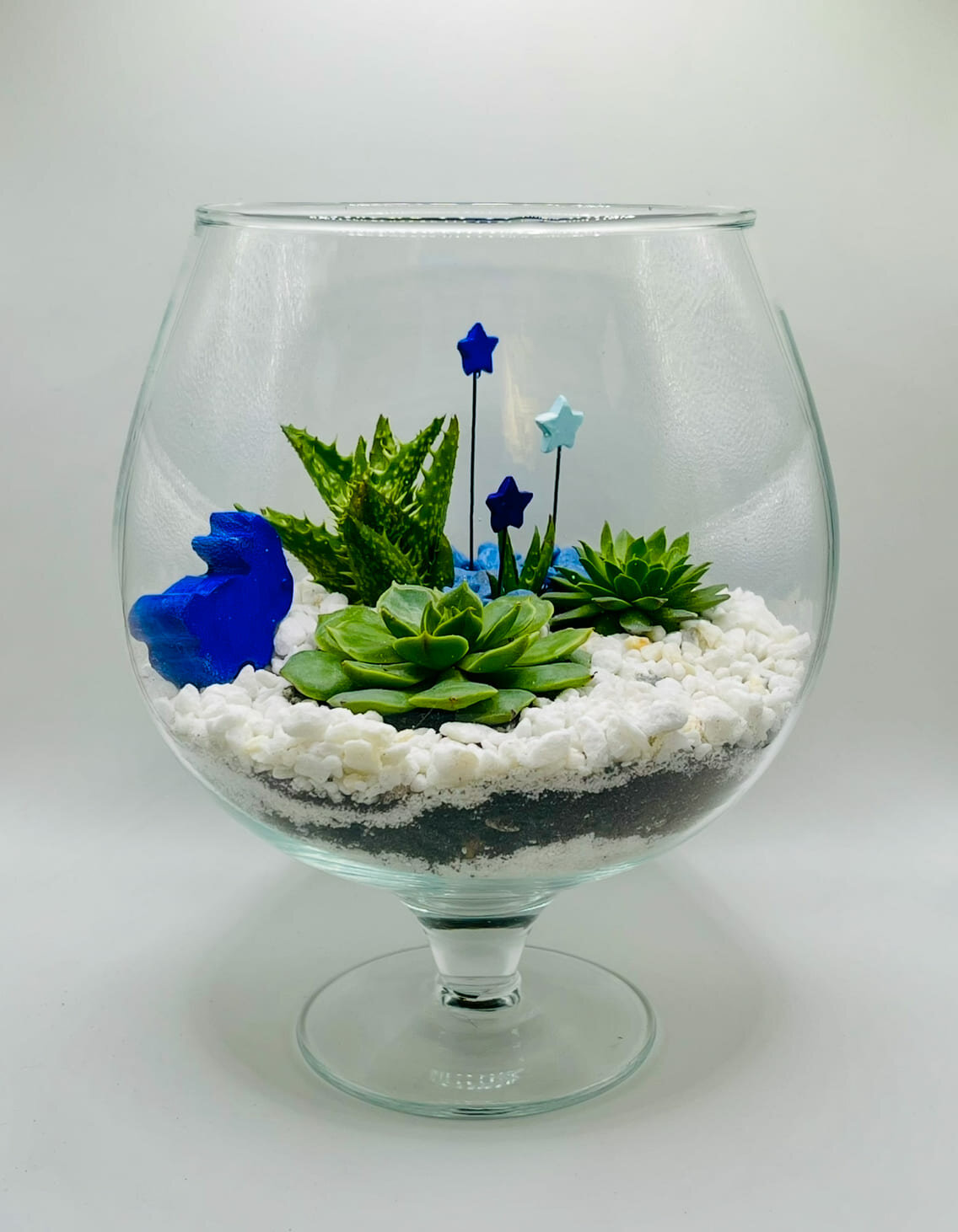 Флорариум Сад в стекле "Сад голубых звезд" в вазе-бокале