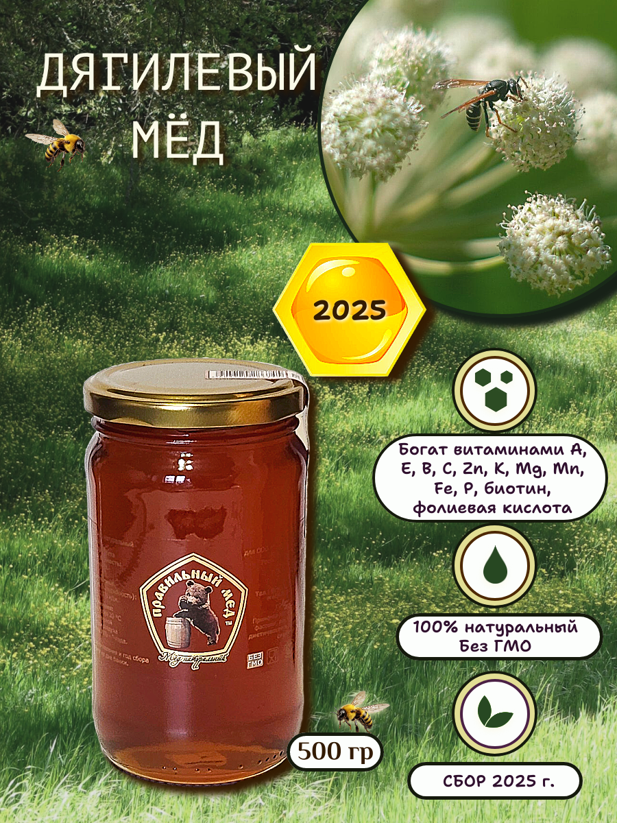 Мёд натуральный Дягилевый 500гр. (сбор 2025г.), Правильный мёд