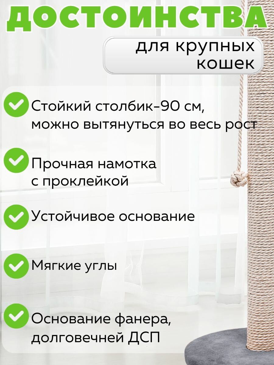 Когтеточка — фото 1
