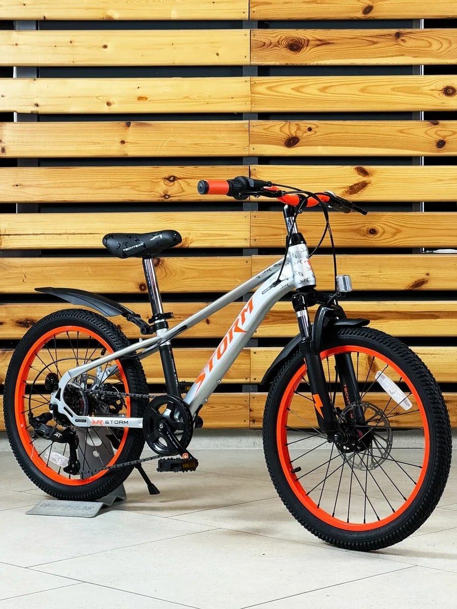 Велосипед подростковый Tech Team Storm 22"х12 серебряный 2026
