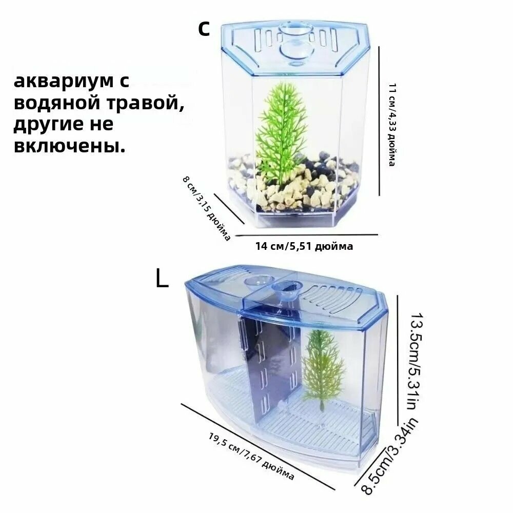 Аквариум для петушков — фото 1