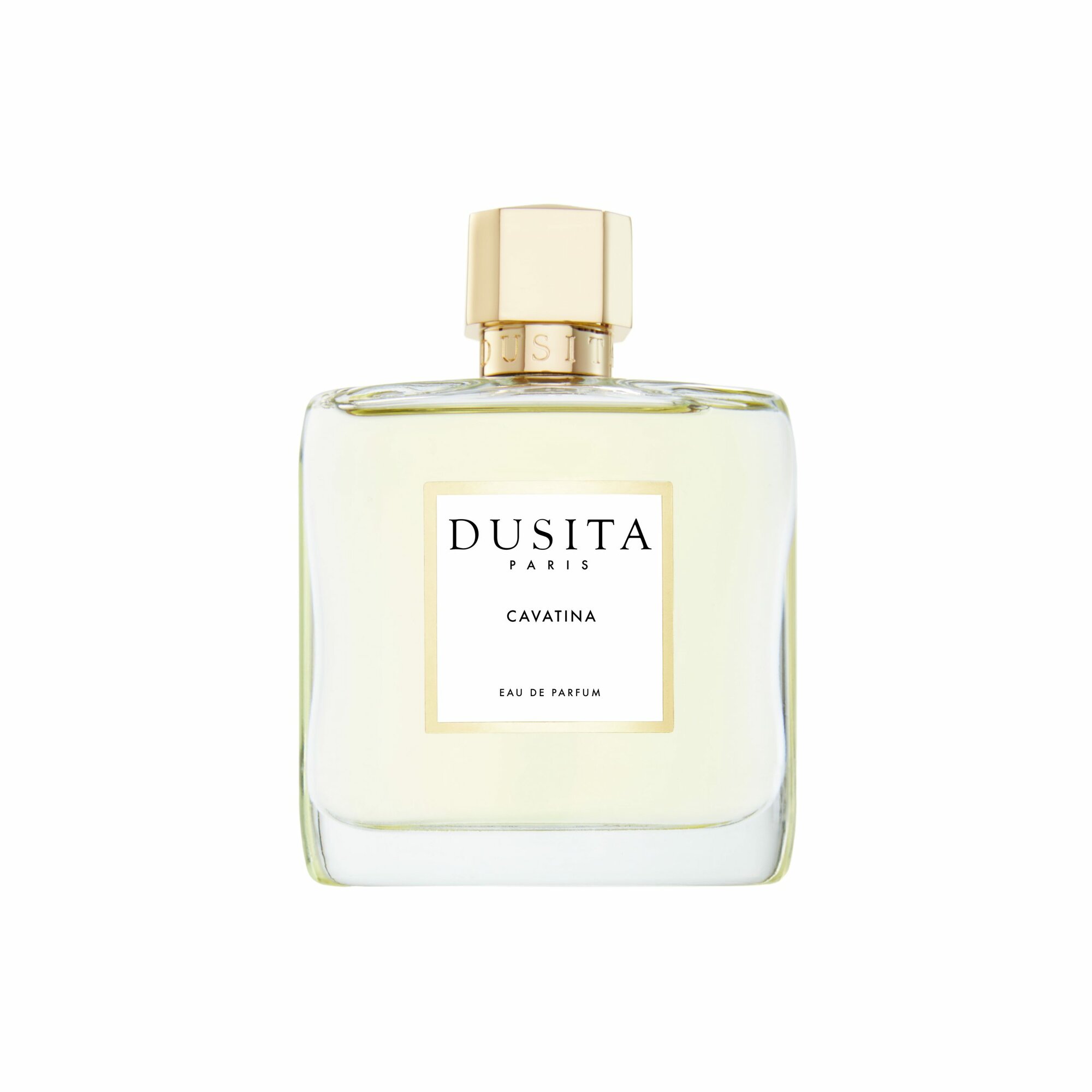 Parfums Dusita Cavatina парфюмерная вода 100 мл, аромат унисекс