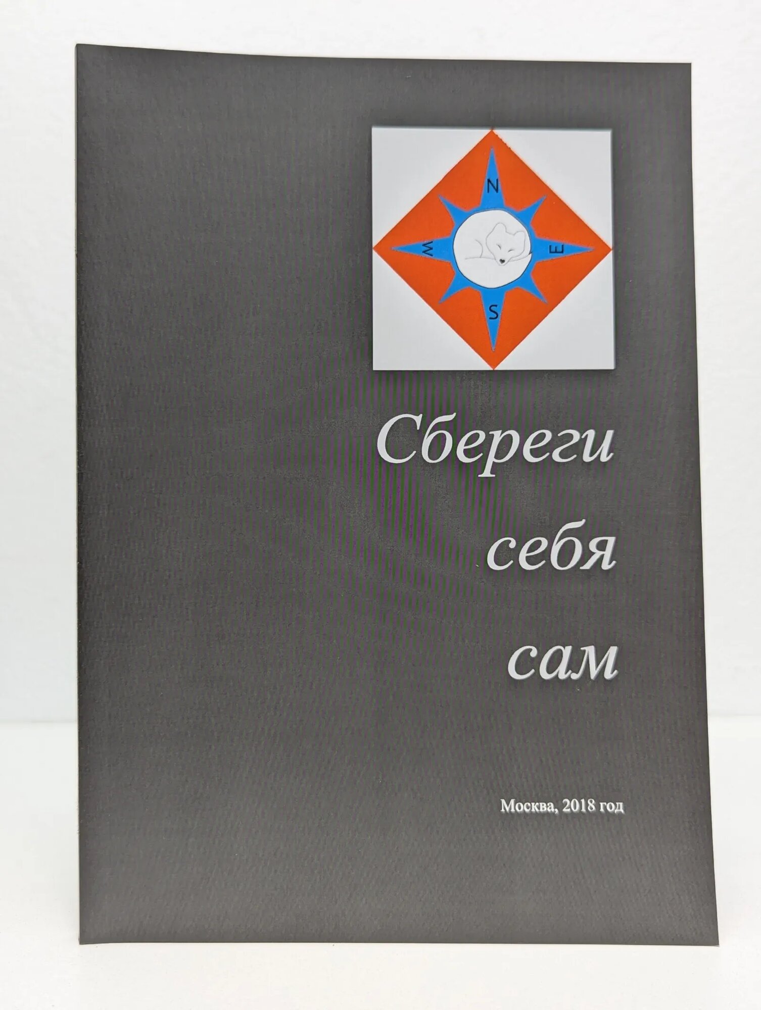 Сбереги себя сам Холмогоров Александр Васильевич, Силенко Виктория Владимировна, Илюхин Павел Николаевич, Елисеенко Александр Сергеевич 2018