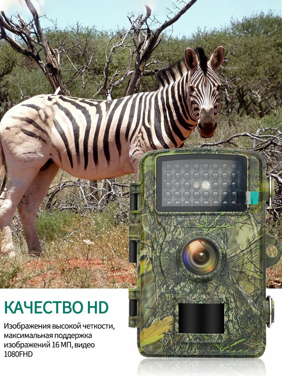 Фотоловушка — фото 1