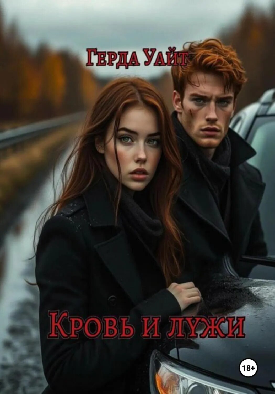 Кровь и лужи [Цифровая книга]