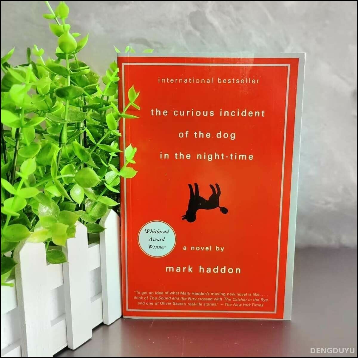 Бестселлер The Curious Incident of Dog in the Night Time