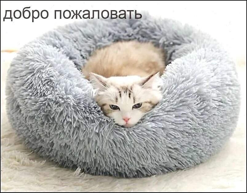 Лежанка экомех премиум, подстилка для кошек и собак мелких и средних пород с мехом, лежак для животных с бортиками, матрасик 45 x 35 см