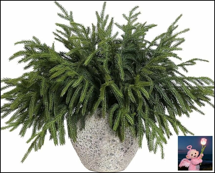 Ветка, шишка декоративная