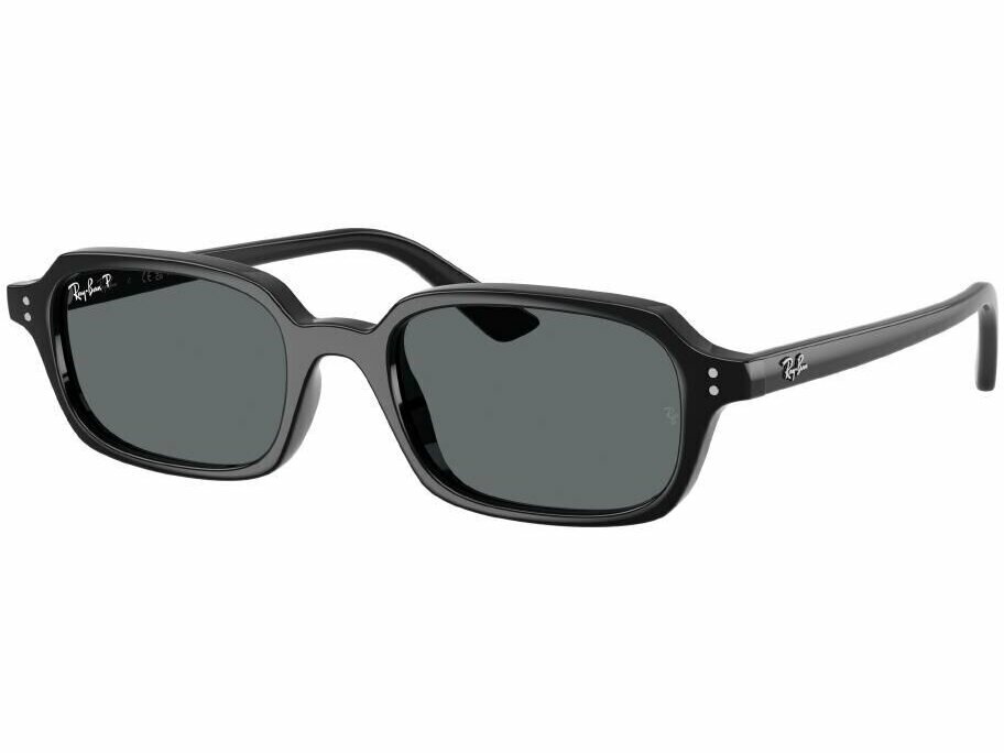 Ray-Ban 0RB4455 / 52 667781
