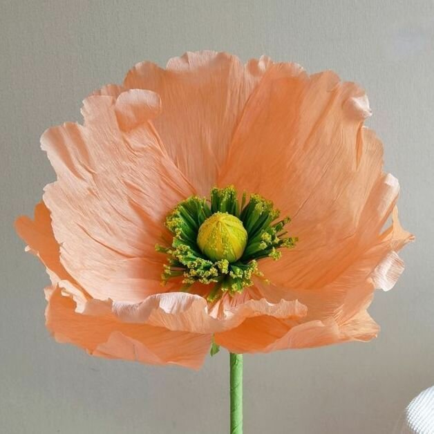 Красивые бумажные цветы, многоцветные маки, гигантские бумажные цветы, искусственные маки, искусственные цветы для оформления сцены