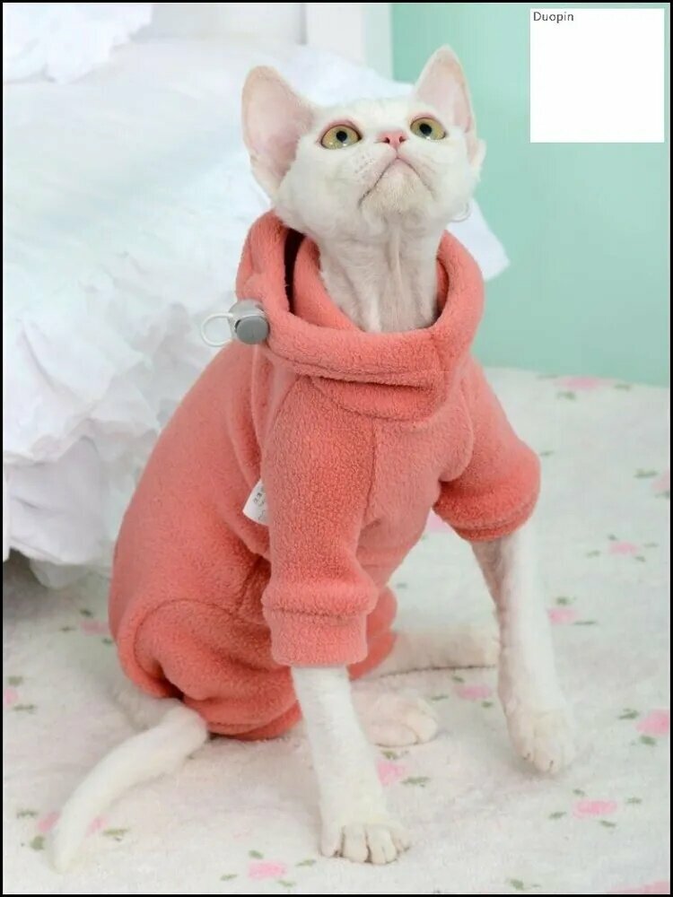 Эксклюзивный утепленный комбинезон для бесшерстных кошек, полностью закрывающий тело и все четыре лапы с капюшоном
