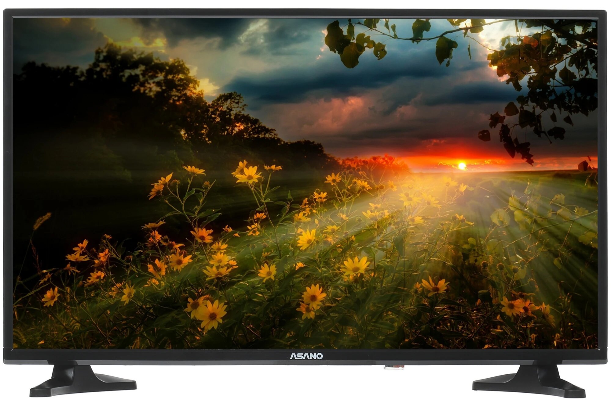 Телевизор Asano 32LH7010T, черный, 31,5", 1366x768, Smart TV, Android