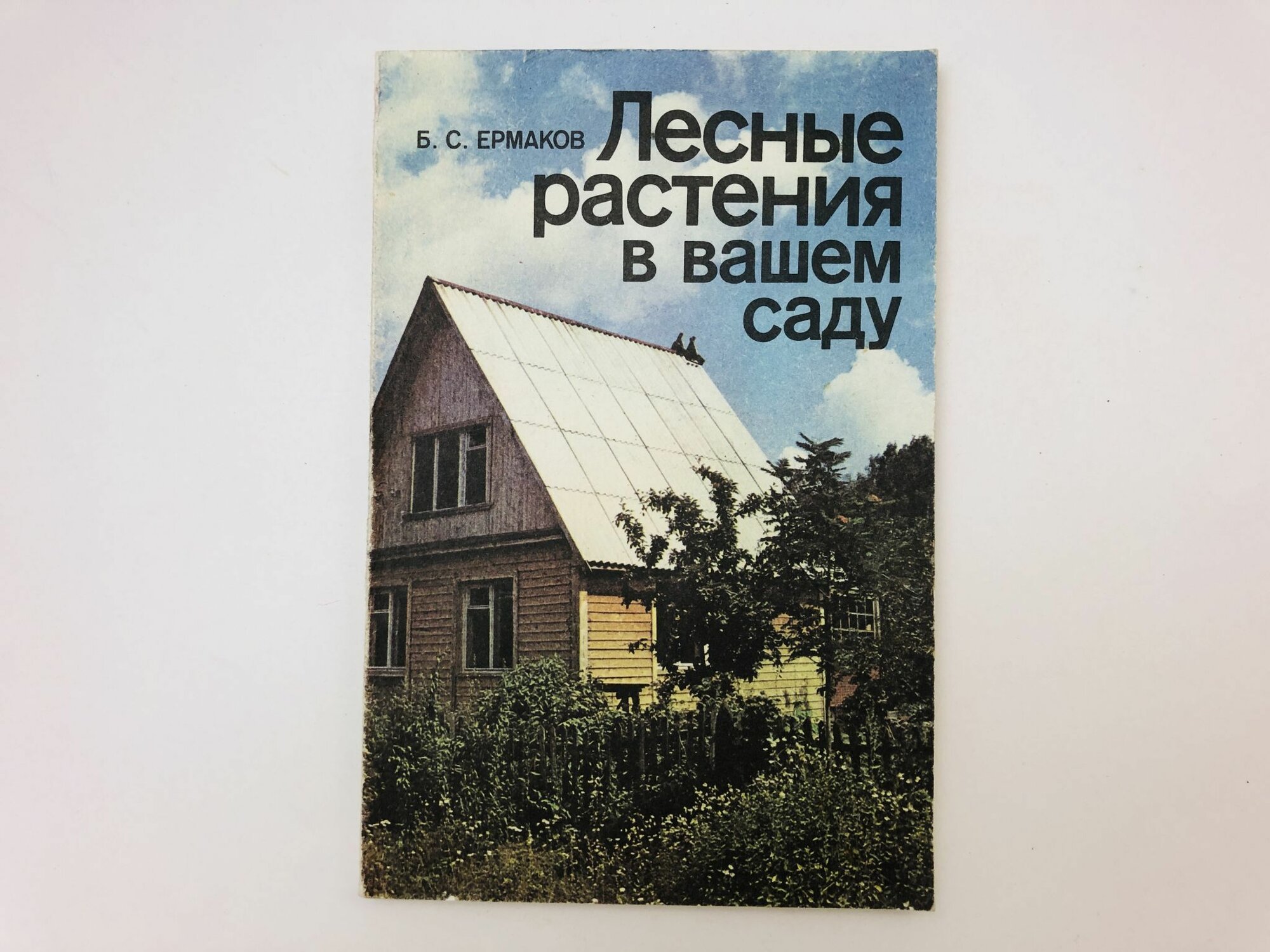 Лесные растения в вашем саду. Плодово-ягодные деревья и кустарники