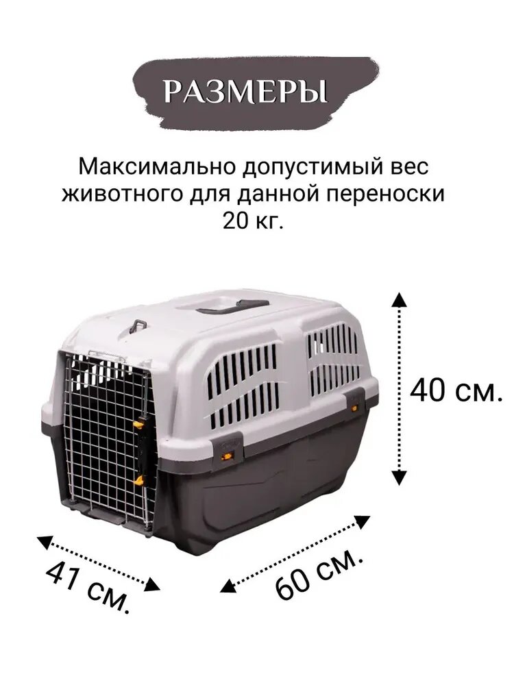 Переноска для кошек и собак средних пород 60 x 41 x 40 см из пластика и металла для авиаперевозок — фото 1