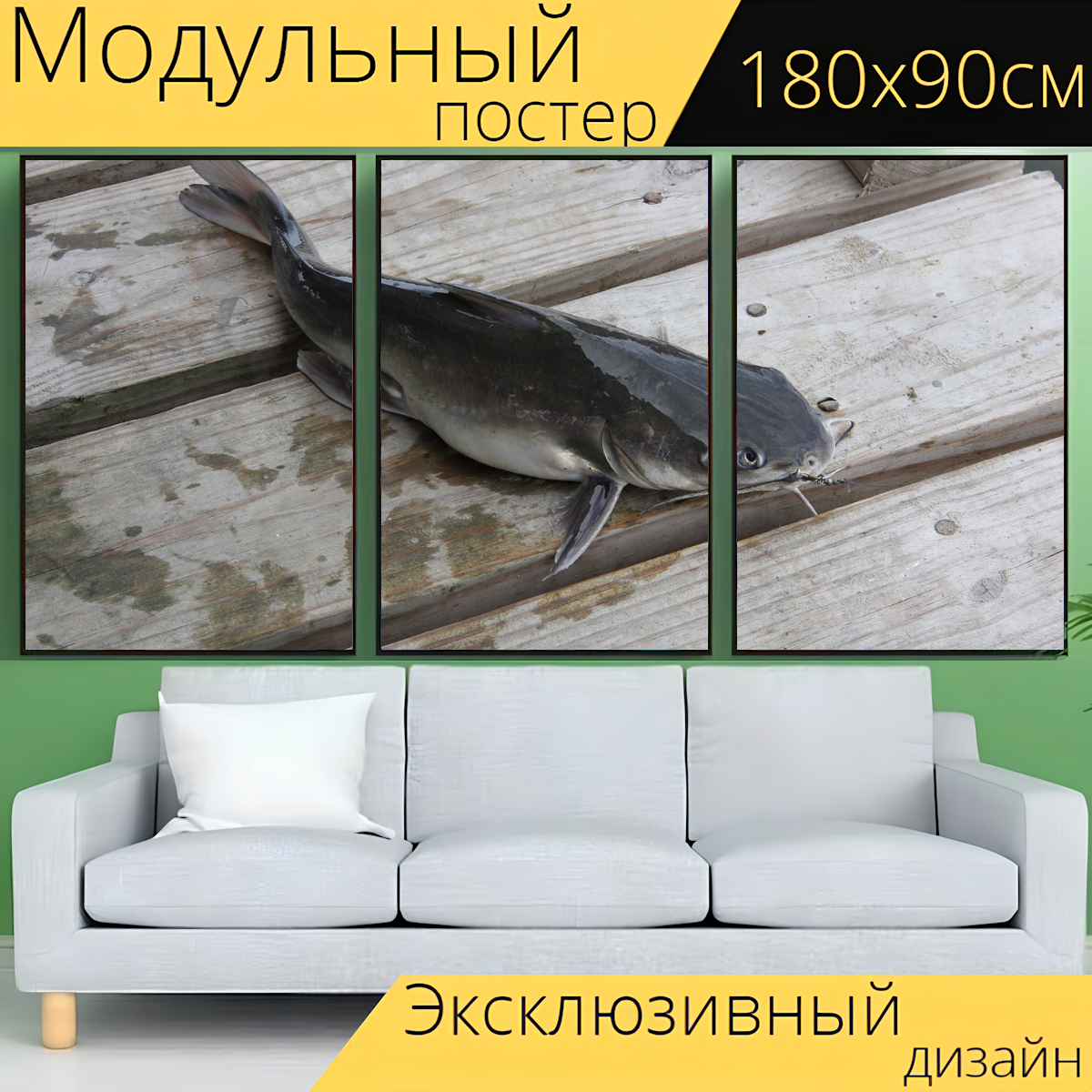 Модульный постер "Сом, ловит рыбу, рыбы" 180 x 90 см. для интерьера на стену в тубусе