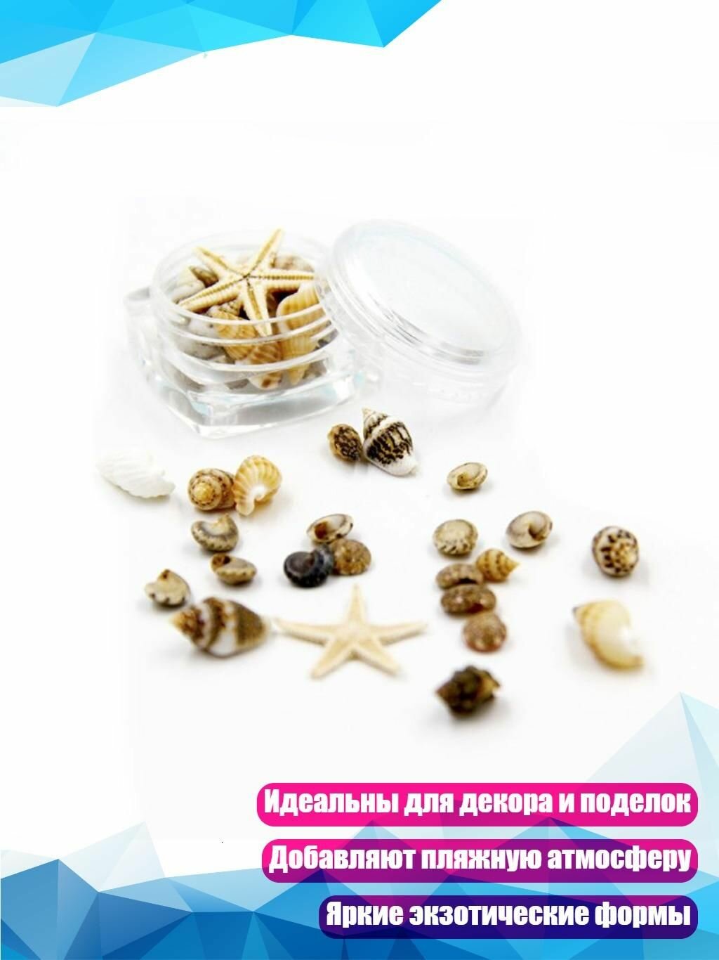 Натуральные морские ракушки без отверстий для аквариума, Другое