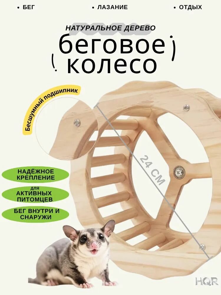 Большое деревянное беговое колесо для хомяка, сахарного поссума, белки, попугая, подвесное, бесшумное, диаметр 24 см, площадка для лазания