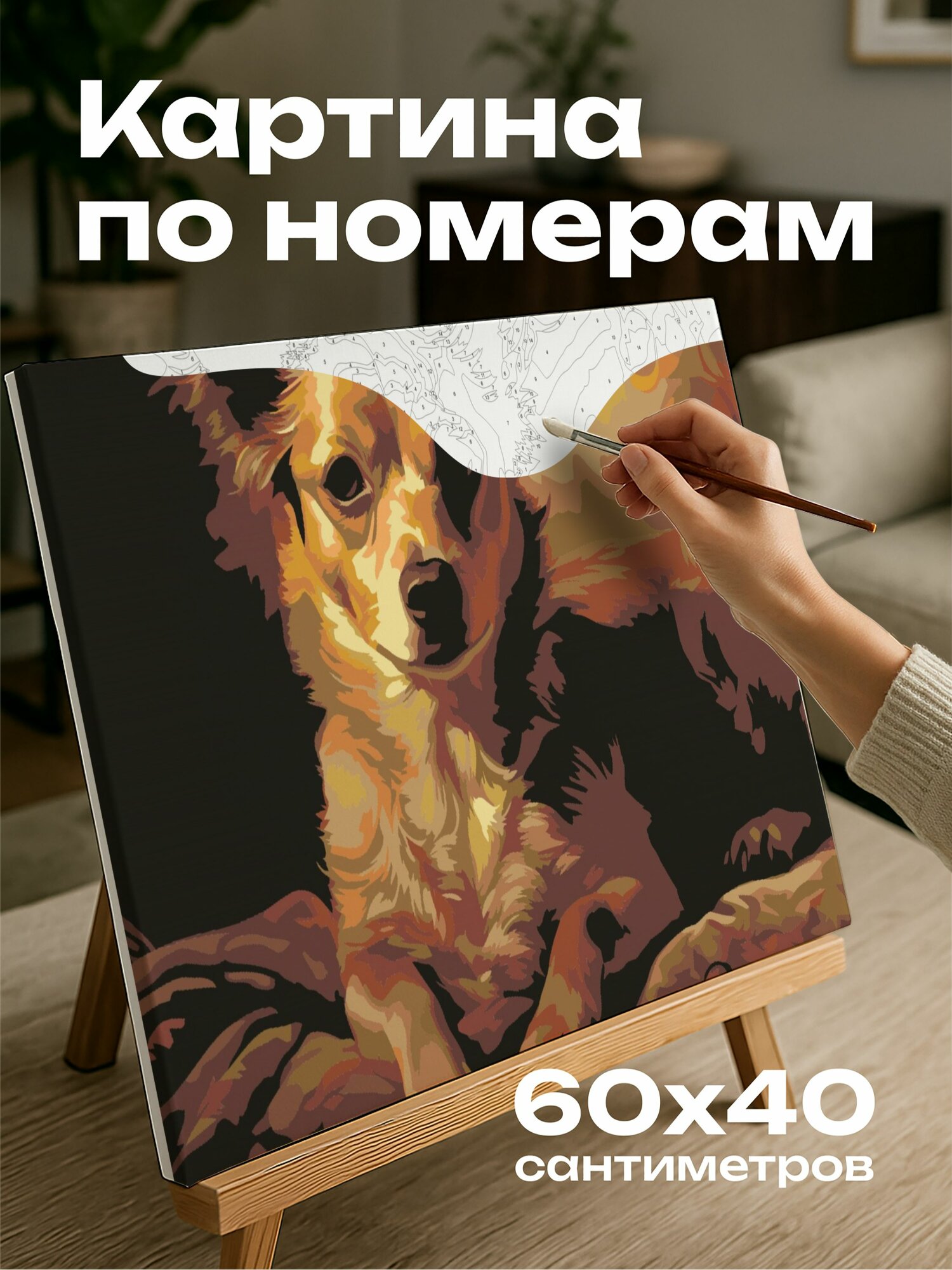 Картина по номерам 60x40 см, картина, масло, собака, бархатная подушка, золотистый свет, окно, элегантность, харизма