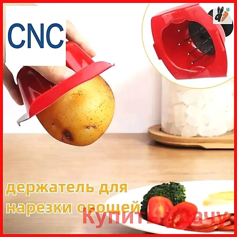 Плододержатель