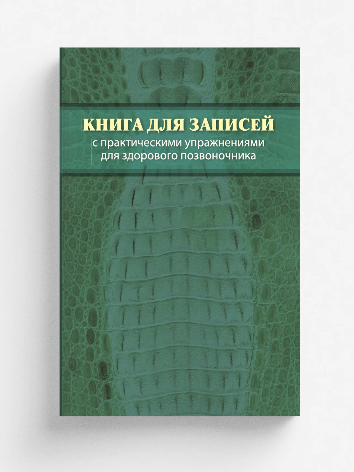Книга для записей с практическими упражнениями для здорового позвоночника