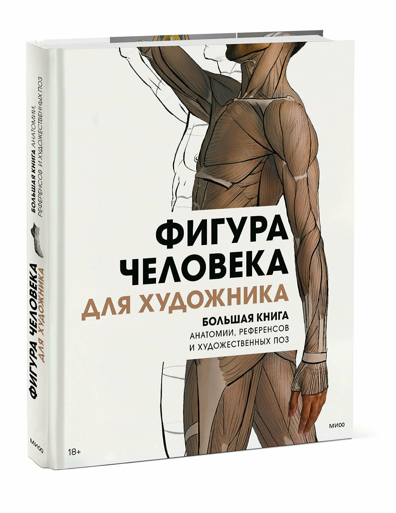 3dtotal Publishing. Фигура человека для художника. Большая книга анатомии, референсов и художественных поз