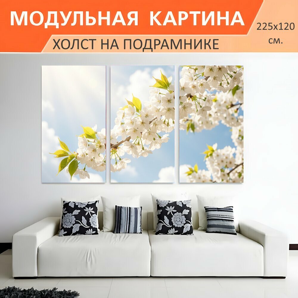 Модульная картина на холсте "Весенние цветы на ветвях. Нежные белые соцветия на тонких ветках с молодой зеленью, мягкое голубое небо." триптих на подрамнике 225х120 см. для интерьера