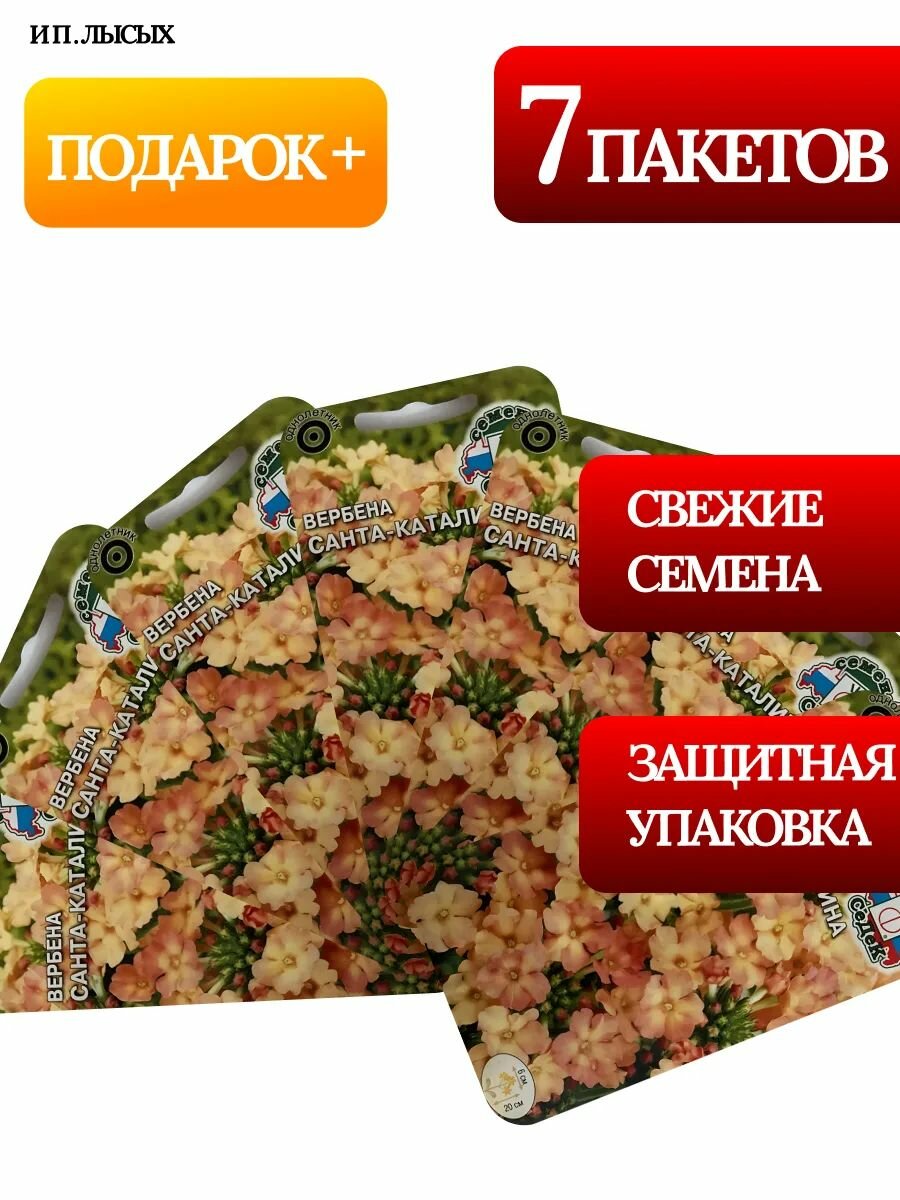 Семена Вербена "Санта-Каталина"