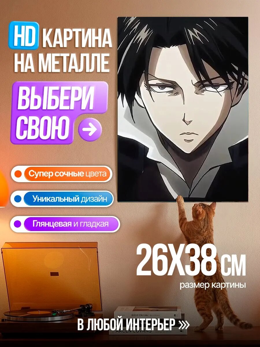 Картина на HD металле Леви Аккерман