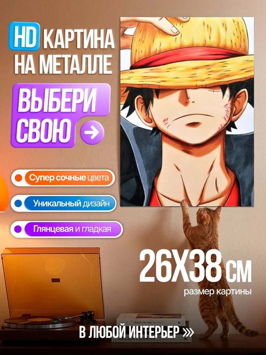 Картина на HD металле Портрет Луффи