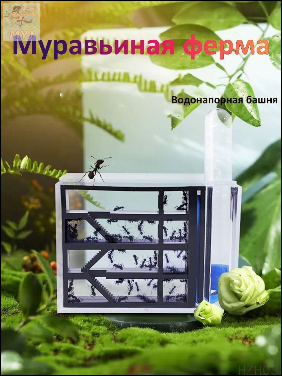 Муравьиная ферма полный комплект Формикарий для муравьев
