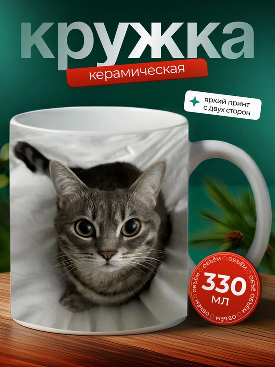 Кружка Эстетик кот 45,