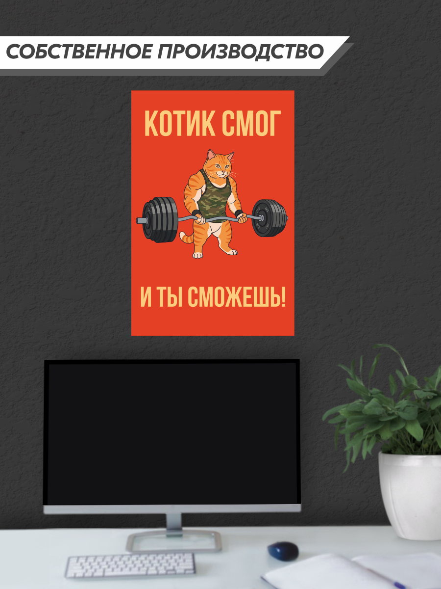 Постер котик спорт — фото 1