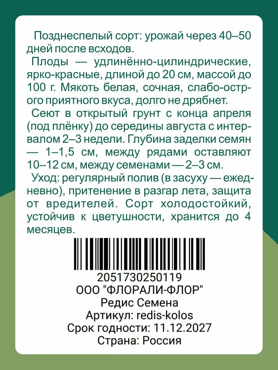 Редис Семена — фото 1
