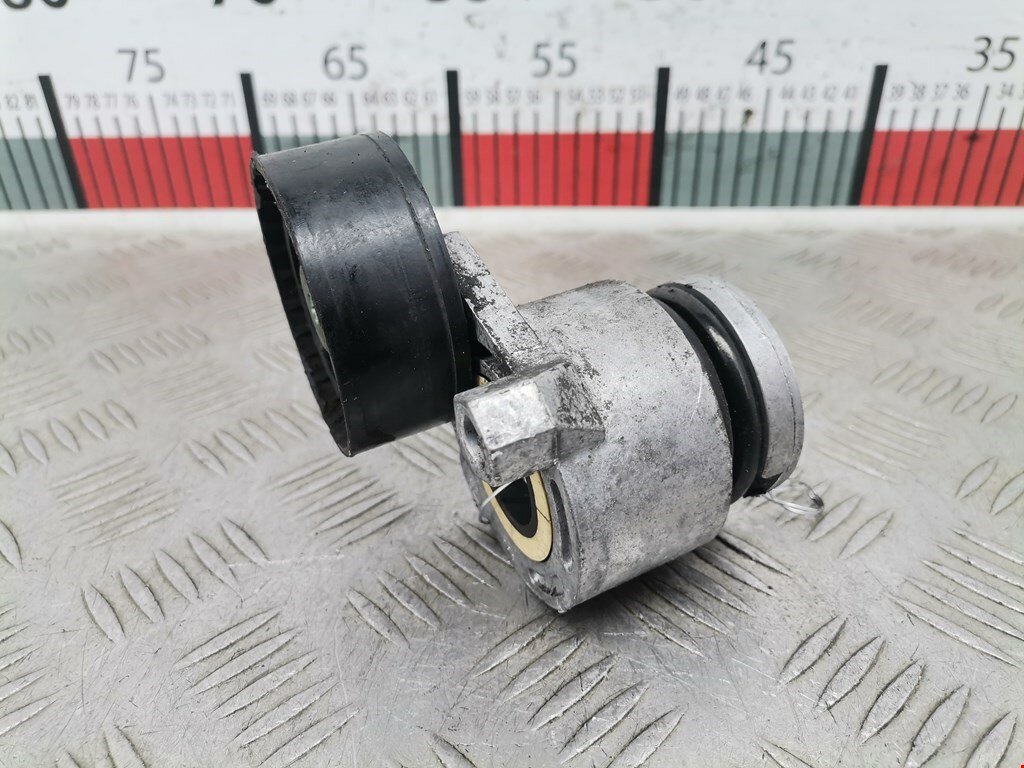 Натяжитель ремня генератора (приводного поликлинового ремня Renault Megane 2 8200048486 арт. 2219444