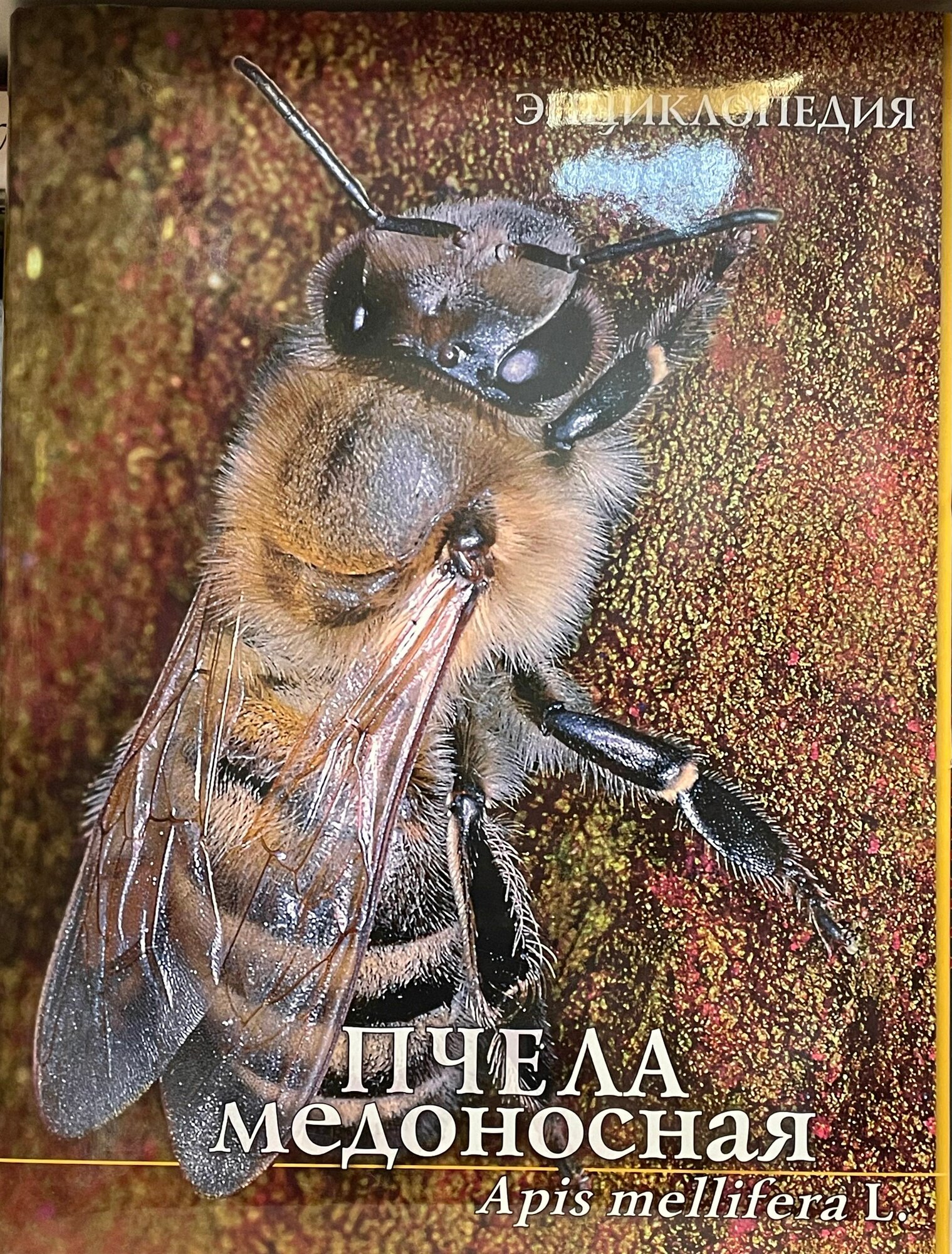 Пчела медоносная. Энциклопедия