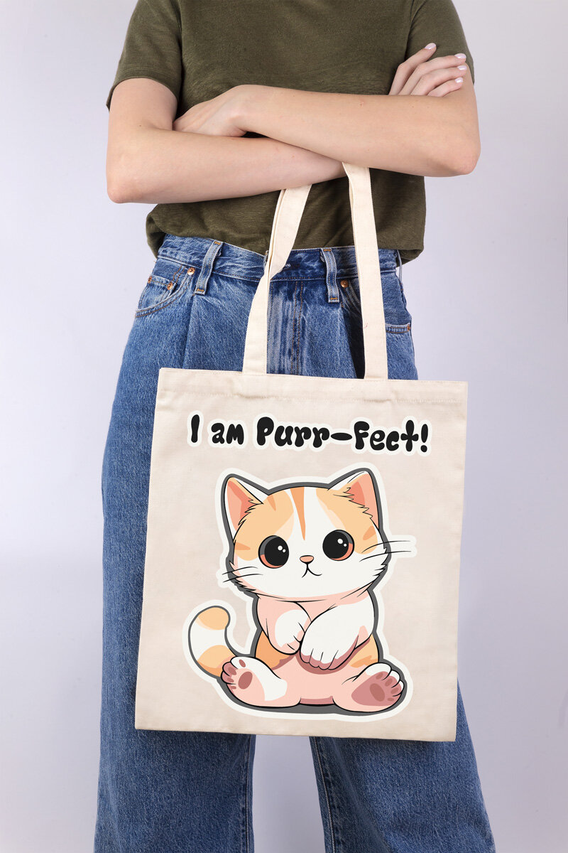 Фрея RWCB-018-DX74 Раскраска на сумке Мурчащий котик - дизайн для раскрашивания 40×35 см