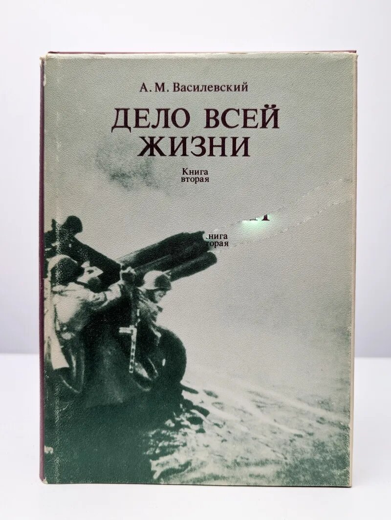 Дело всей жизни. В двух книгах. Книга 2