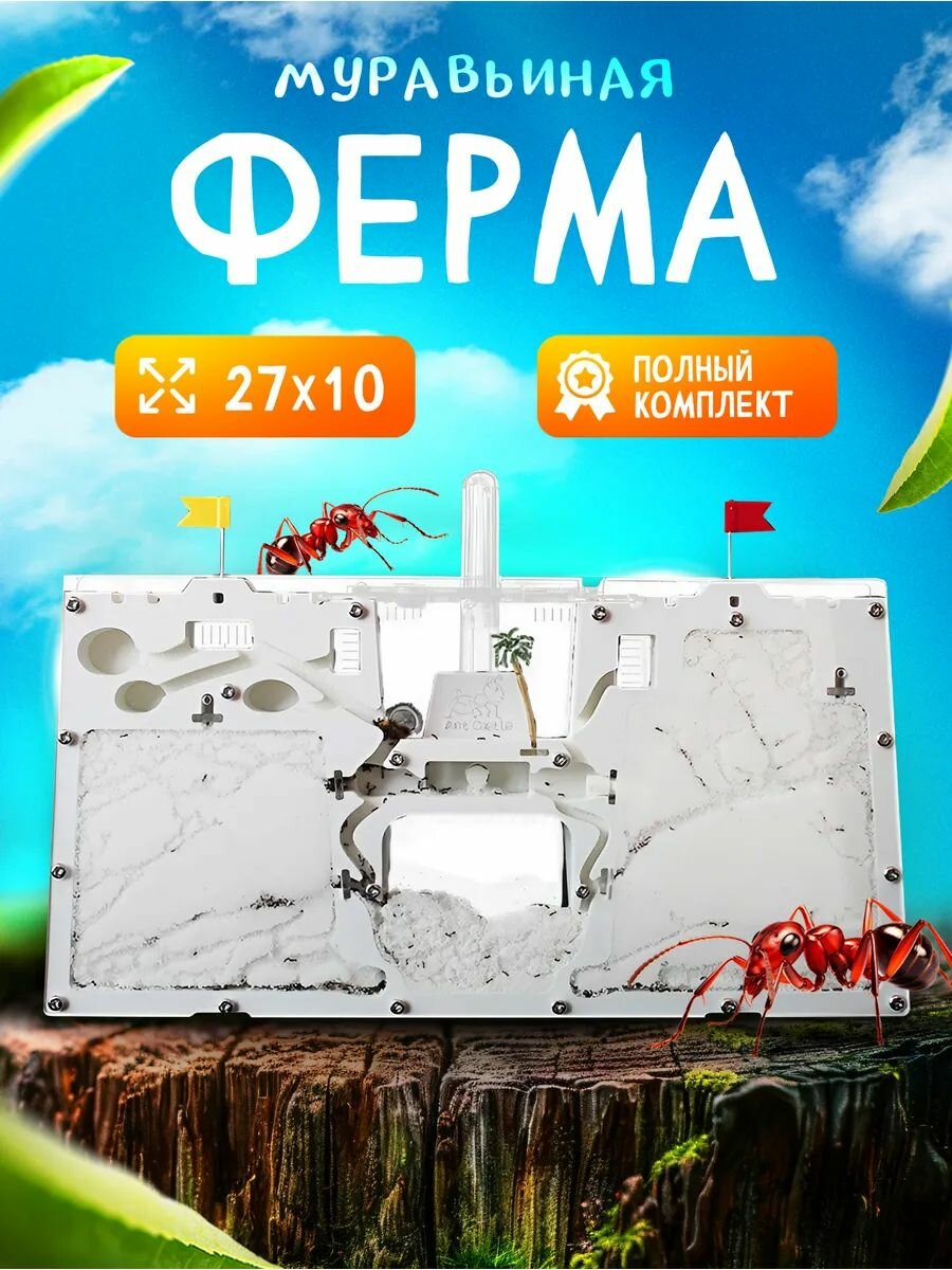 Муравьиная ферма