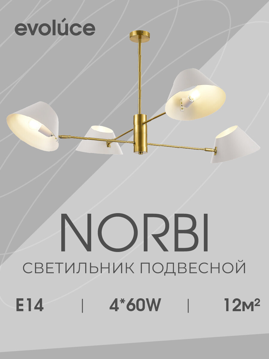 Светильник подвесной EVOLUCE цвет Белый коллекция NORBI в стиле Modern цоколь E14 ламп 4х60W, SLE1253-353-04
