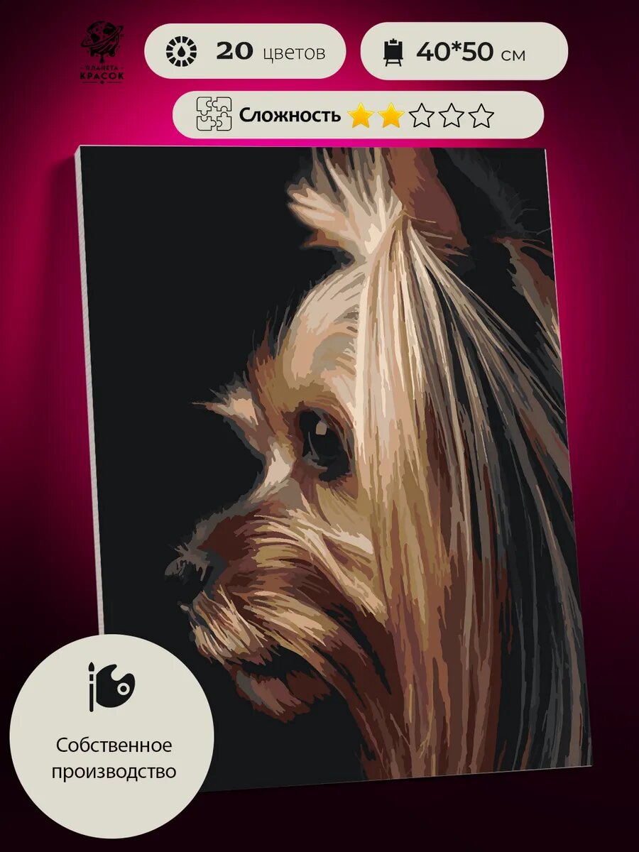 Картина по номерам собака той терьер 40х50 см