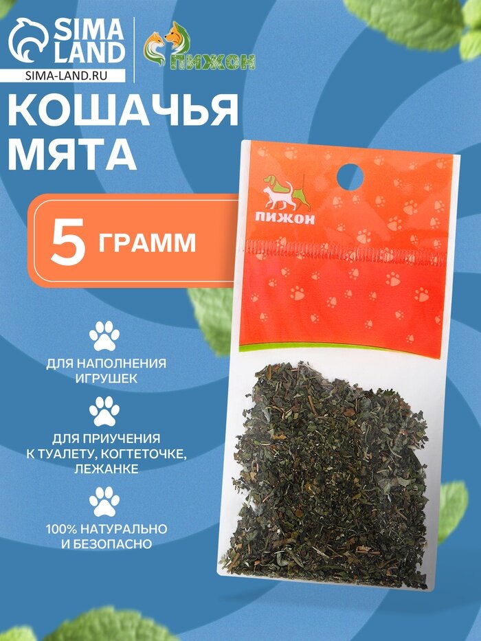 Кошачья мята «Пижон», 5 г