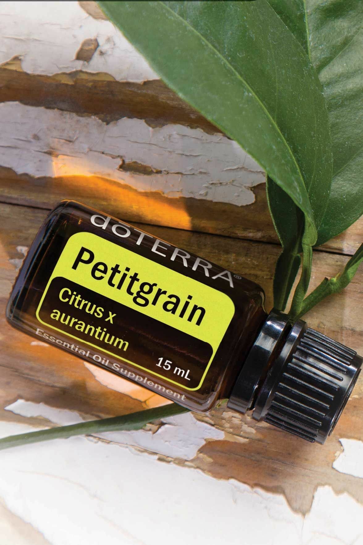 Эфирное масло Петитгрейн (померанец) Дотерра, 15 мл. Petitgrain oil doterra