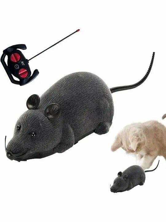 Игрушка для кошек, 4-канальная мышь с пультом дистанционного управления
