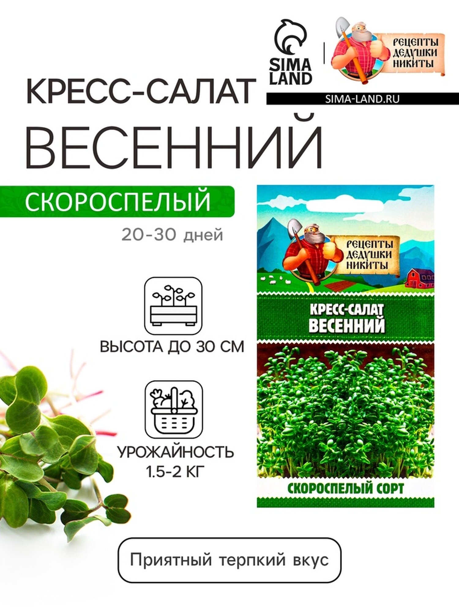 Семена Кресс-салат Рецепты дедушки Никиты "Весенний", однолетние, 1 г