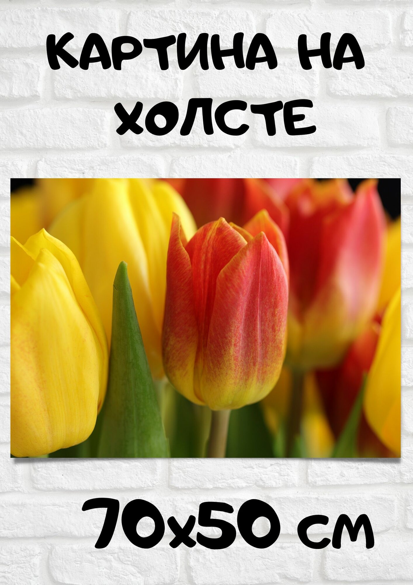 Картина желтые тюльпаны / Готовая напечатанная картина с цветами