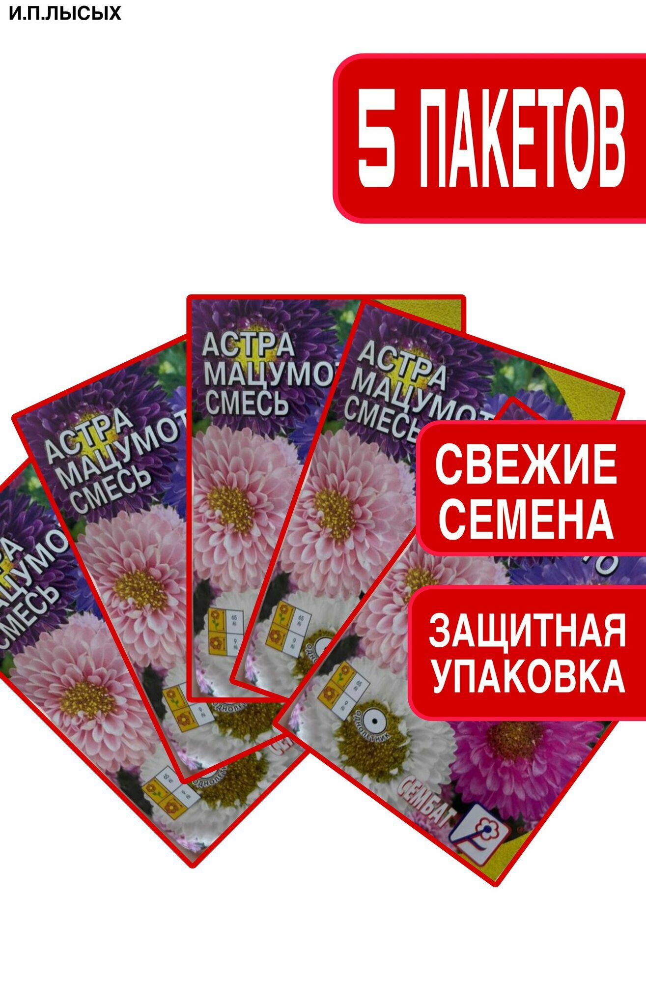 Семена Астра "Мацумото"