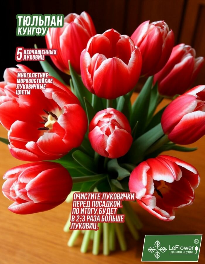 Тюльпан Луковица, Кунг Фу 5+ шт