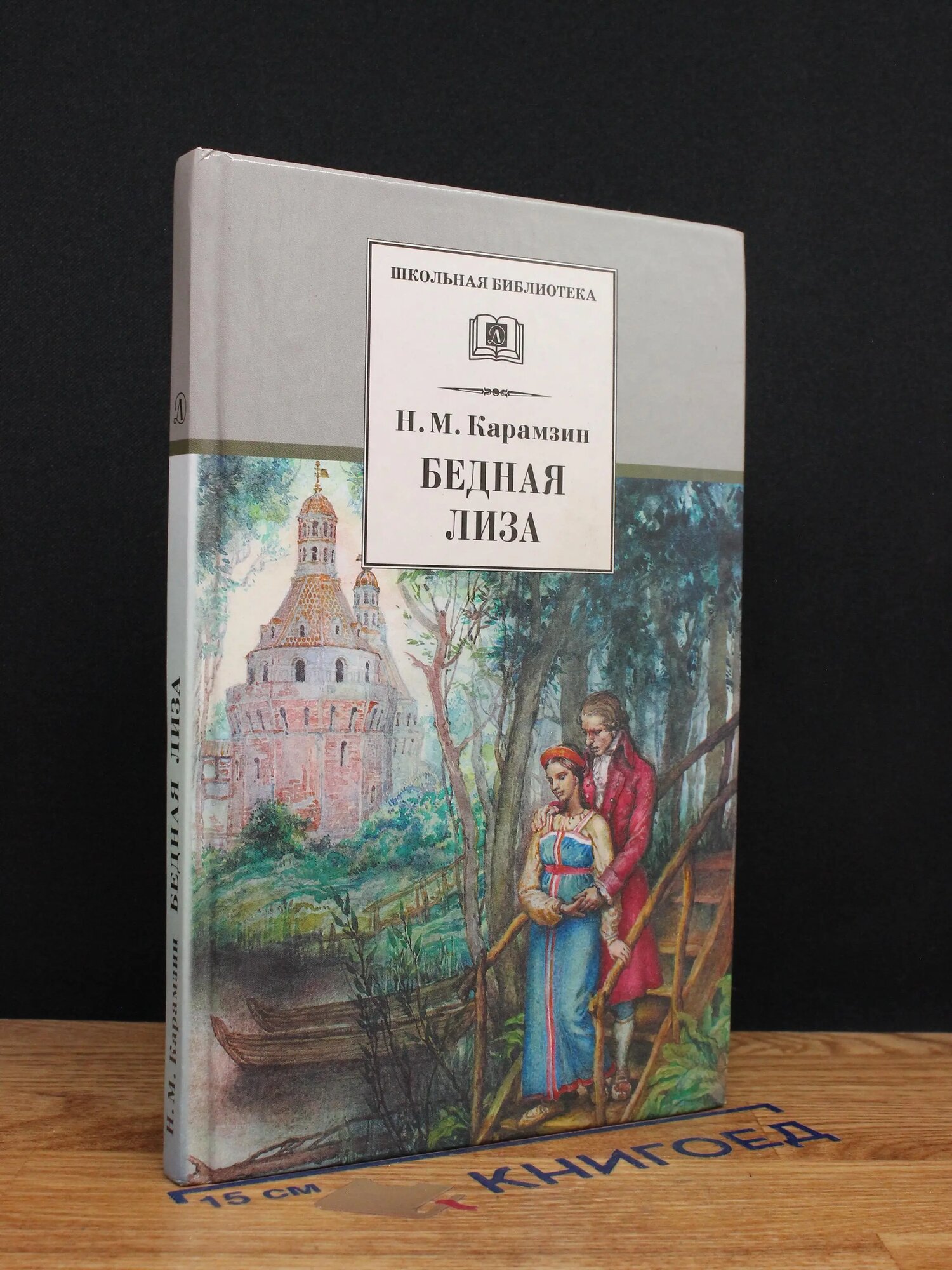 Книга. Бедная лиза 2010 (2046607045530)